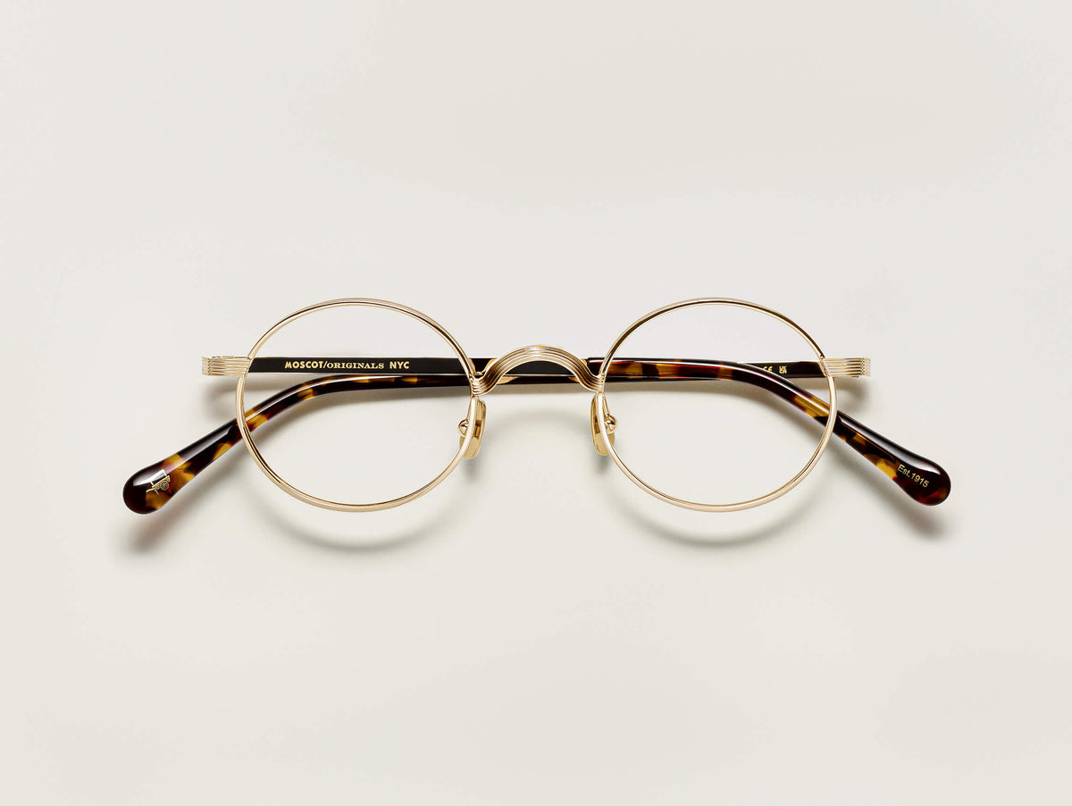 MOYEL | MOSCOT