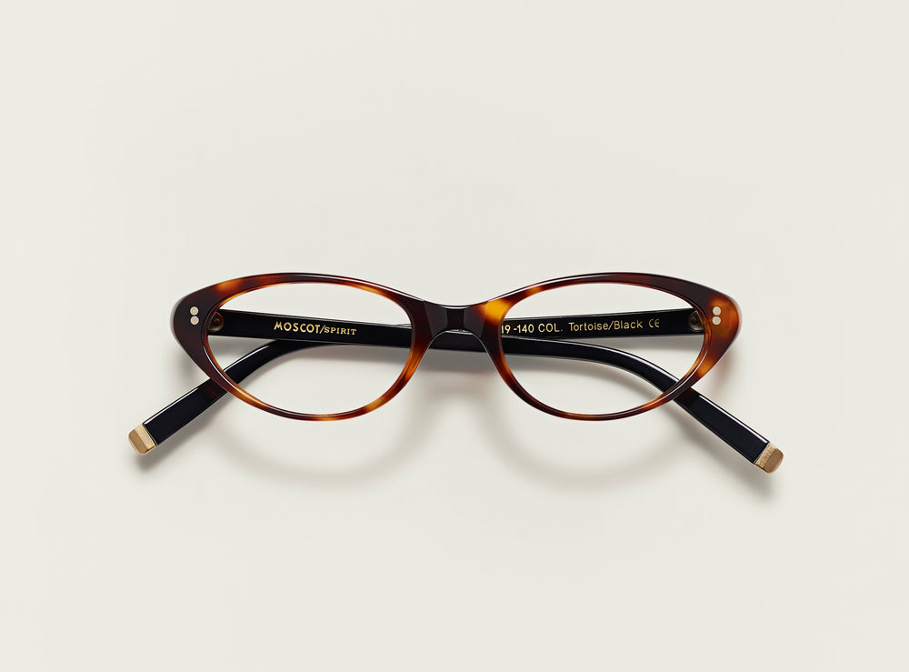 Ready Readers Frame Collection | Reading Glasses