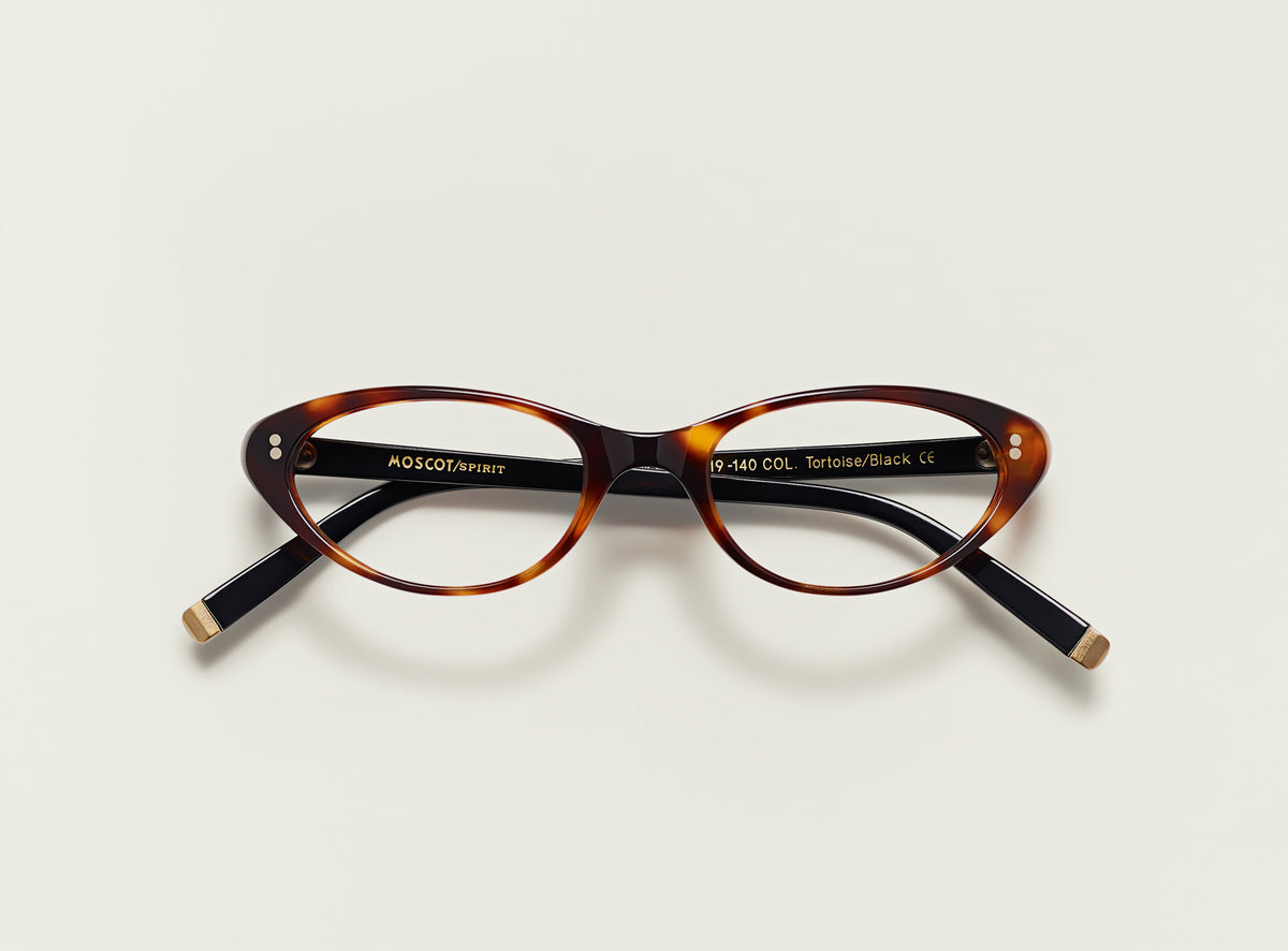 Ready Readers Frame Collection | Reading Glasses