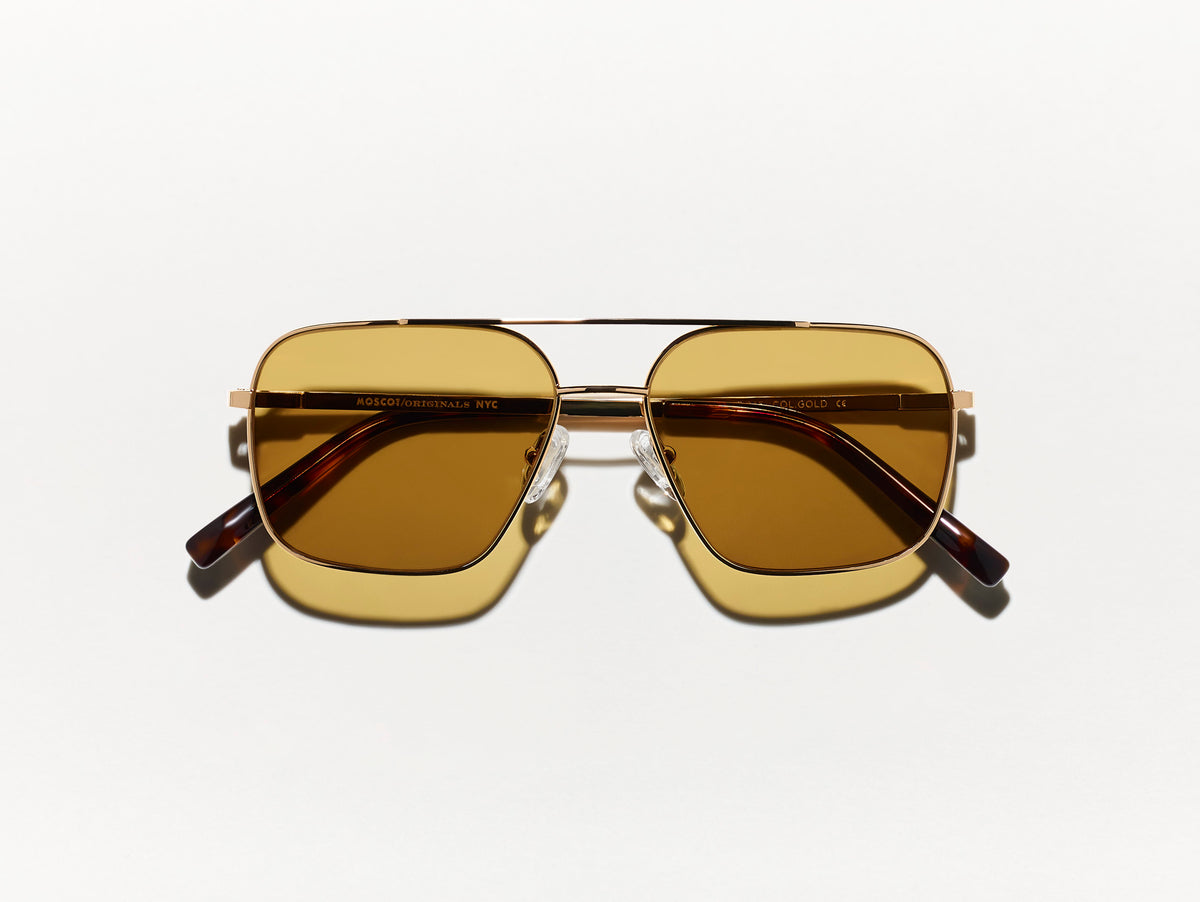 SHTARKER in Gold | Tinted Glasses